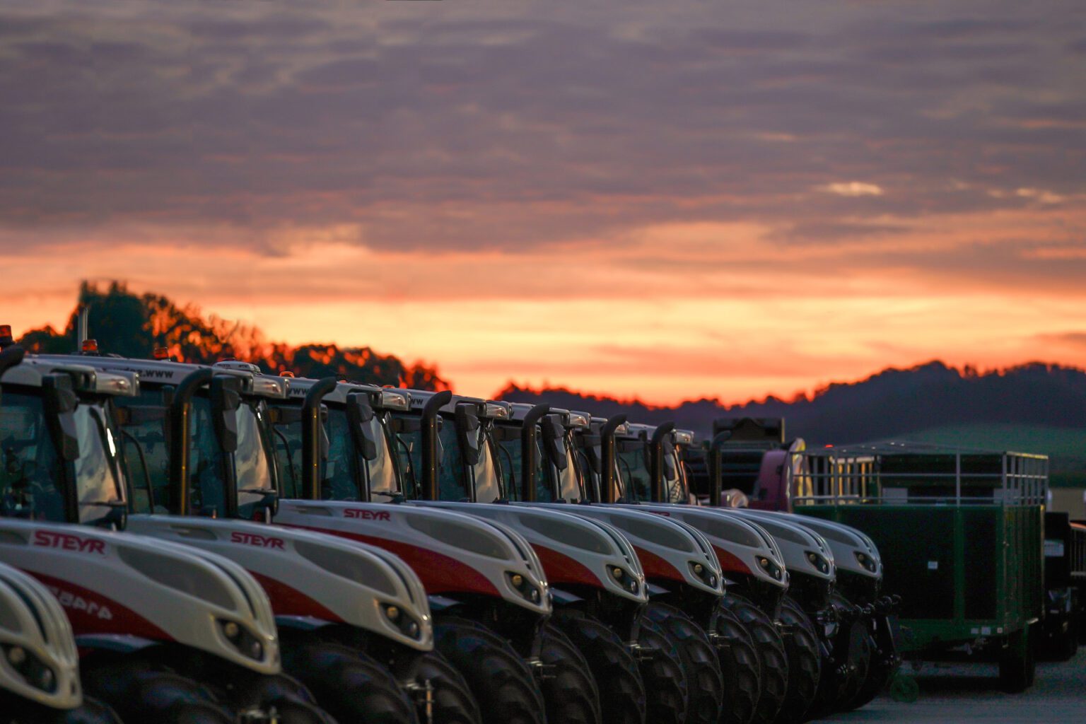 Die Weihnachtsausstellungen 28. bis 30. Dezember 2022